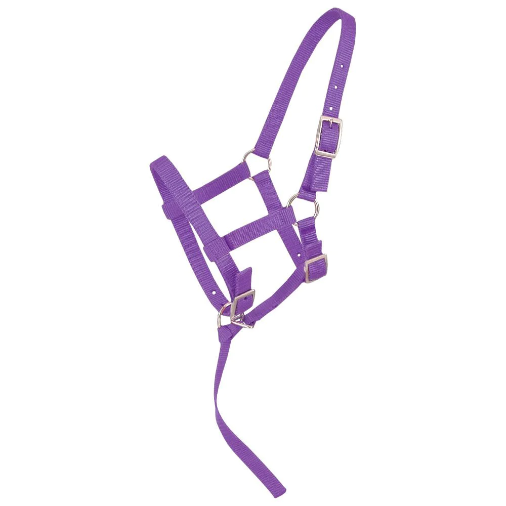 New! Tough-1 Adjustable Weanling FOAL HALTER w/ Catch strap Young horse ...
