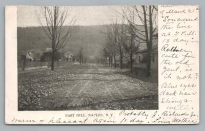 East Hill Dirt Road NAPLES New York ~ Antique Ontario County Postcard ...
