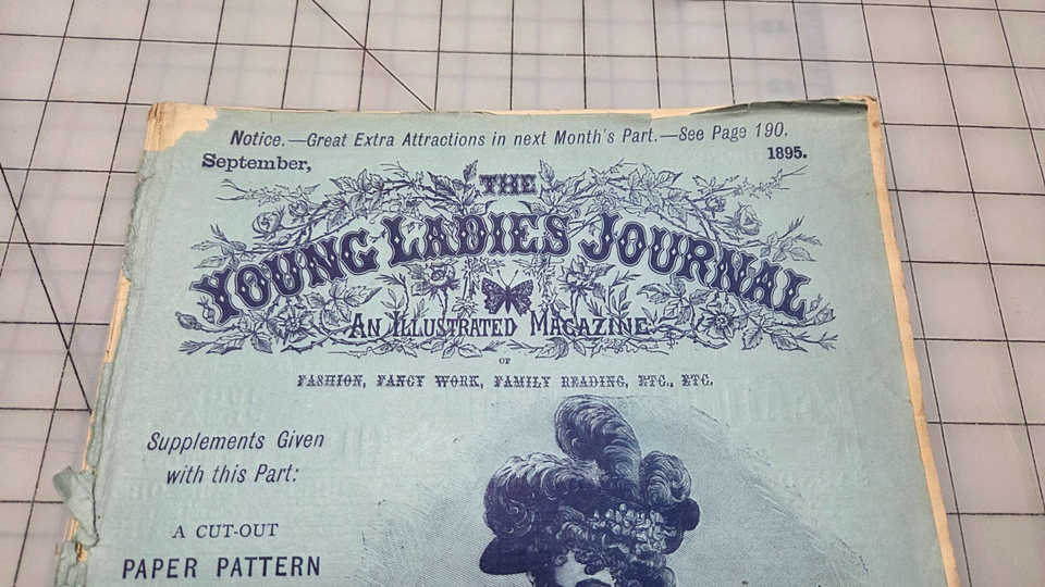 Young Ladies Journal Magazine 1895 Sept Fashion Illustrated Patterns ...