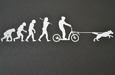 SLED DOG SPIRIT EVOLUTION SCOOTER JORING HUSKY STICKER DECAL HUSKIES ...
