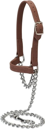 Brown Goat Halter with Chain Lead Adjustable Medium for 30-60 lbs Goats ...