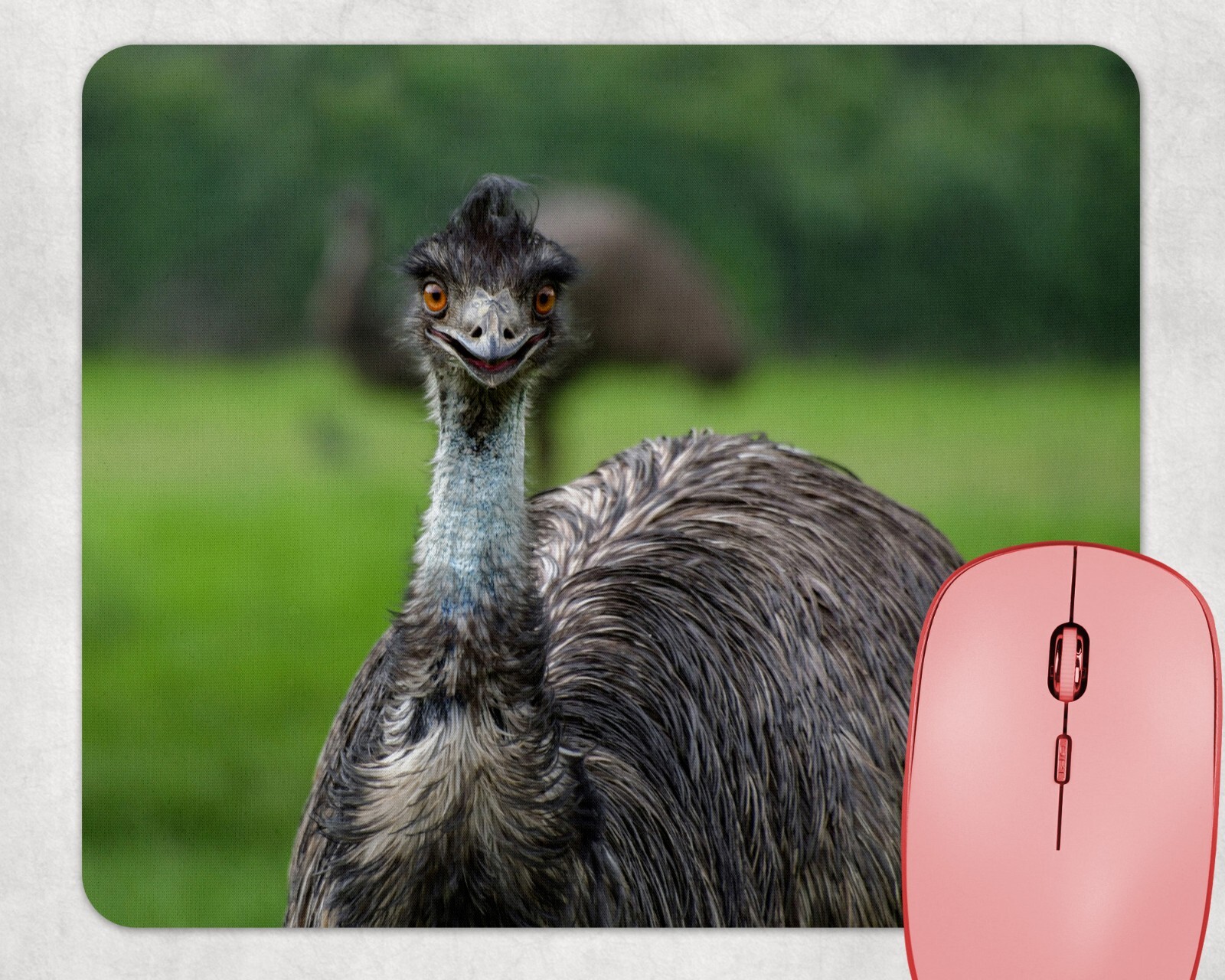 GOOFY LOOKING EMU mouse pad | eBay