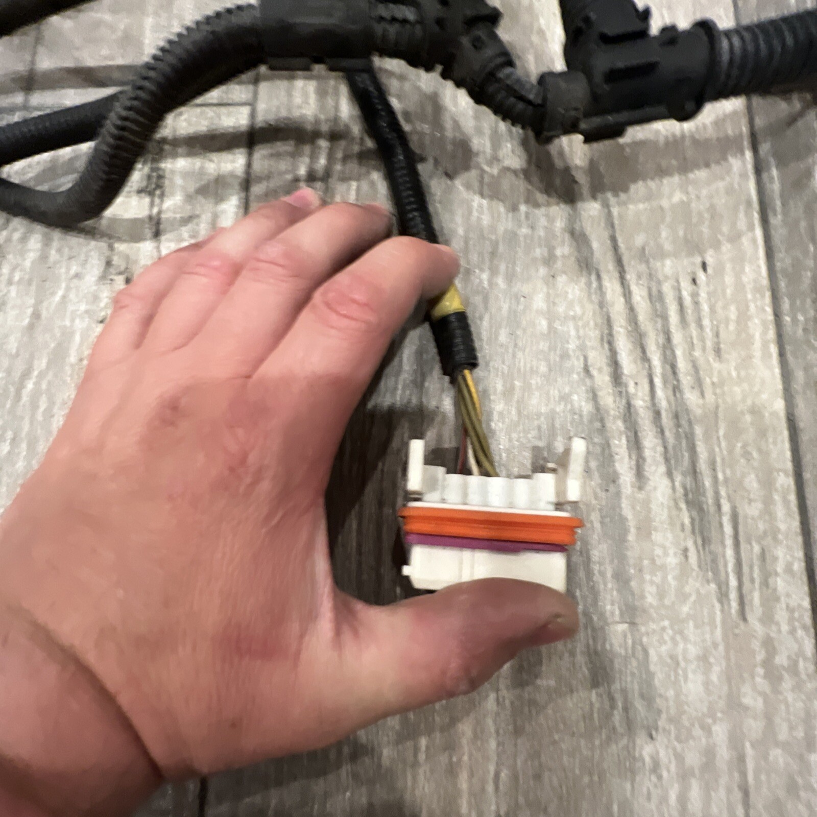 Set 4 . 3 Pin And 2 Pigtail Plug Wiring Connector VW Jetta Golf Audi A3 ...