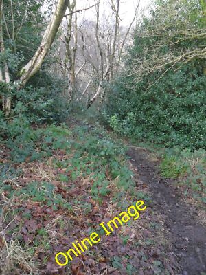 Photo 6x4 Footpath, near Hinchliffe Mill, Holmfirth Path leading ...