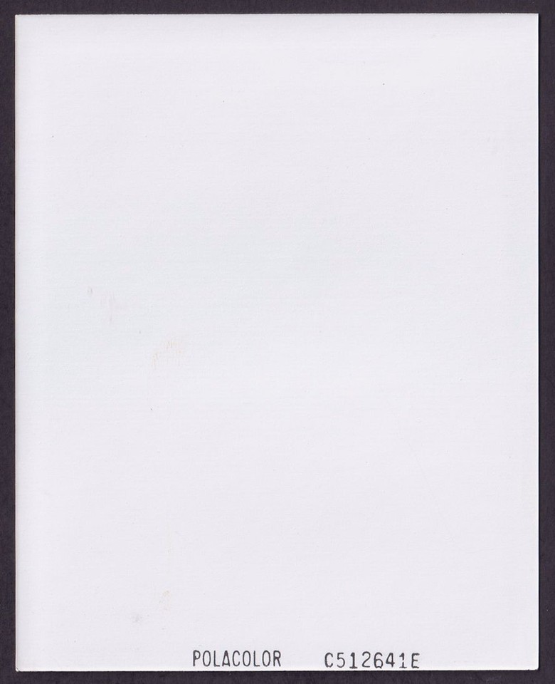 CARALYN HALL ~ Vintage 1960's Girlie PIN UP Photo ~ Busty Risque Color ...