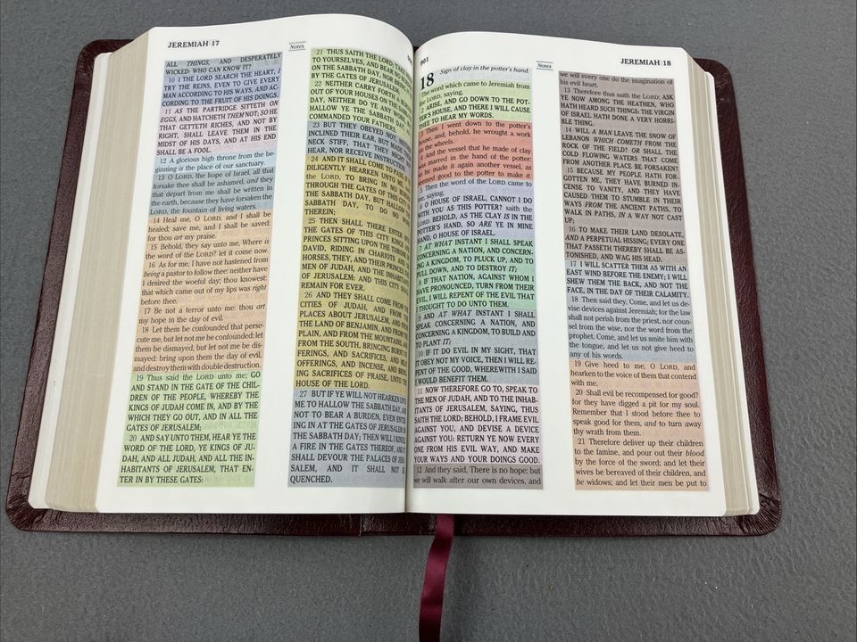 The Rainbow Study Bible King James Bold Letter Edition Burgundy Boxed ...