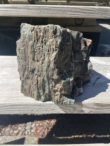 Huge Hampton Butte Green Petrified Wood 14 Pounds | eBay