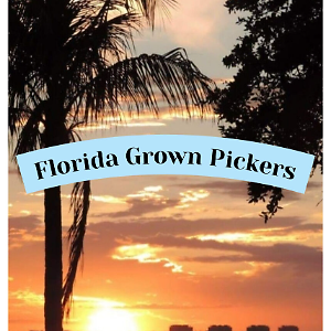 Florida Grown Pickers | eBay Stores