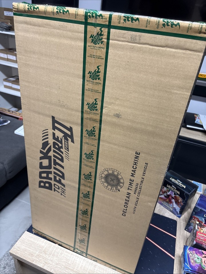 Delorean Time Machine Hot Toys Limited Back To The Future Part 2 | eBay