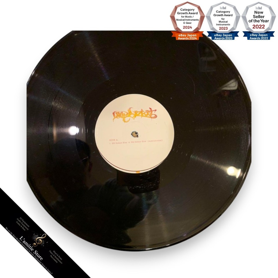 Limp Bizkit N2 Gether Now 12" Vinyl Record Clear Vinyl | eBay
