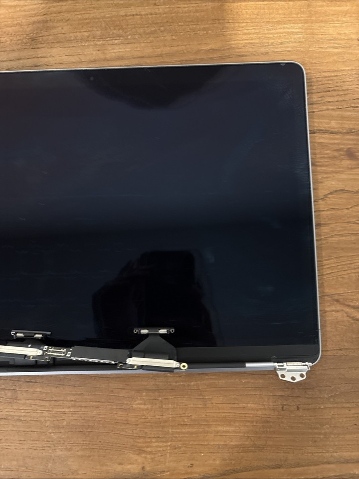 OEM Apple LCD Screen Assembly 13" MacBook Pro A1706 A1708 2016-2017 ...