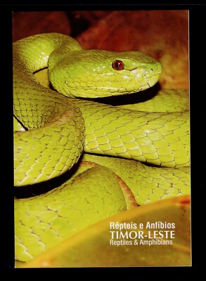 Timor Leste. 2010. East Timor. Reptiles brochure. NEW DISCOVERY. frog ...