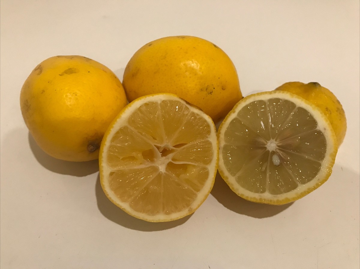 Weird Looking Lemons