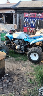 600cc Quad Bike | eBay UK