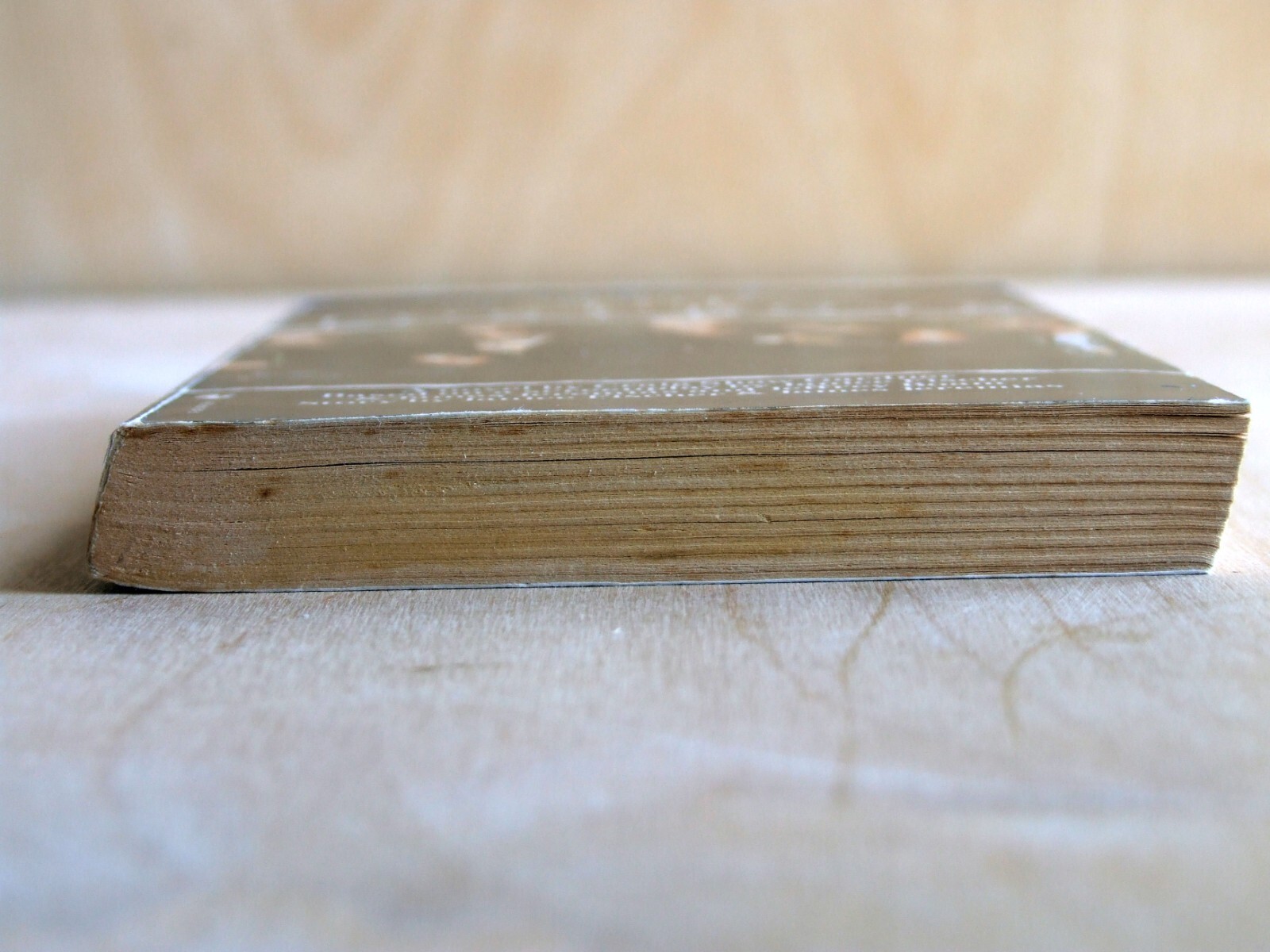 The Lost Boys novelization by Craig Shaw Gardner (Bantam, 1988) 1st ...