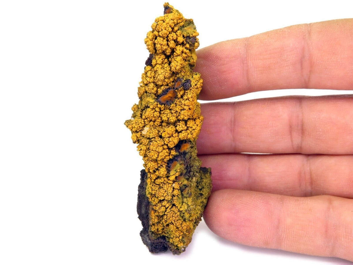 Goethites NEW FOUND!! ARBORESCENT LIMONITE, GOETHITE, CALCITE Spain