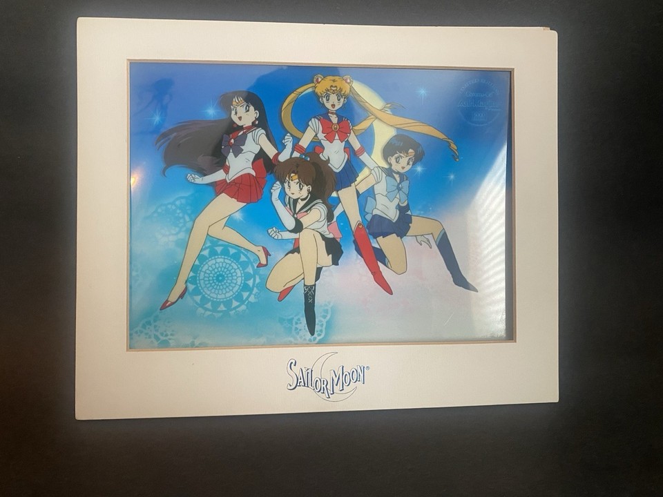 Sailor Moon Ani Magine Chroma Cel As Is | eBay