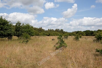 Photo 6x4 Footpath across Baddesley Common Bucket Corner Approaching ...
