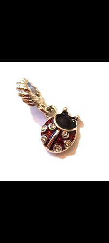 Silver Red Enamel And Rhinestones Lady Bird Charm (#106) | eBay UK