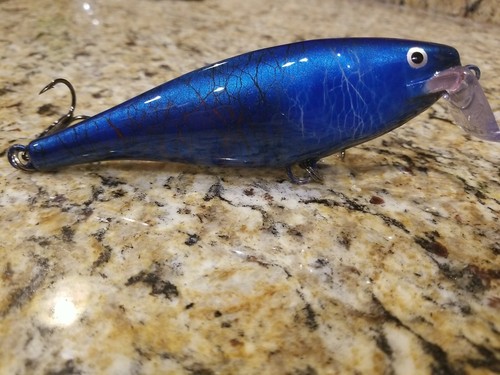 Custom Painted Rapala Super Shad Rap SSR-14 | eBay