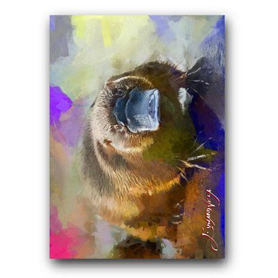 Duck-billed Platypus #2 Art Card Limited 6/50 Edward Vela Signed ...