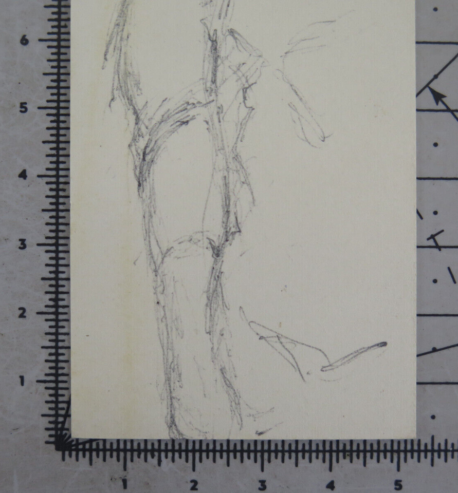 Drawing Sketch Vintage Portrait Opera Of Painter Leon Nancey France ...