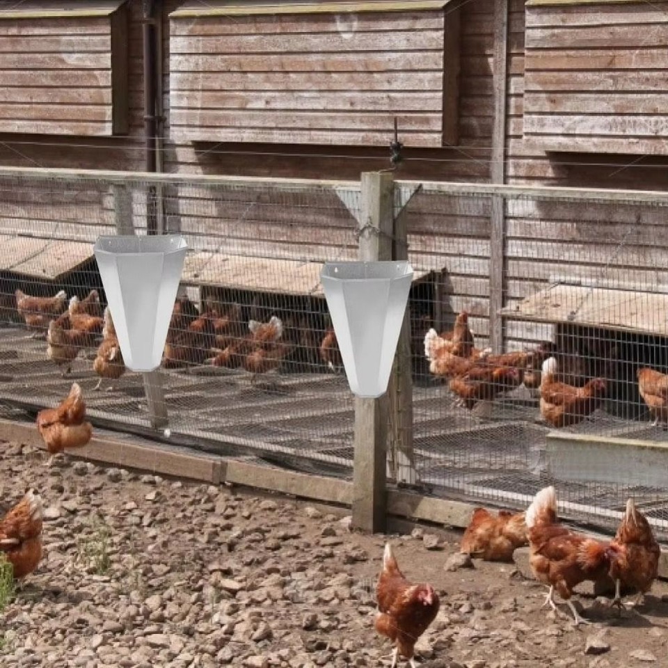 Heavy Type Poultry Restraining Cone Poultry Processing Tool For Chicken ...