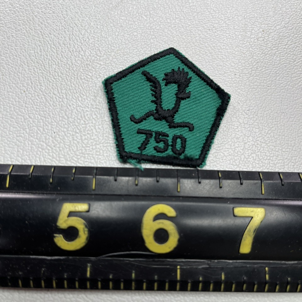 Vintage & Small Roadrunner 750 Patch T084 | eBay