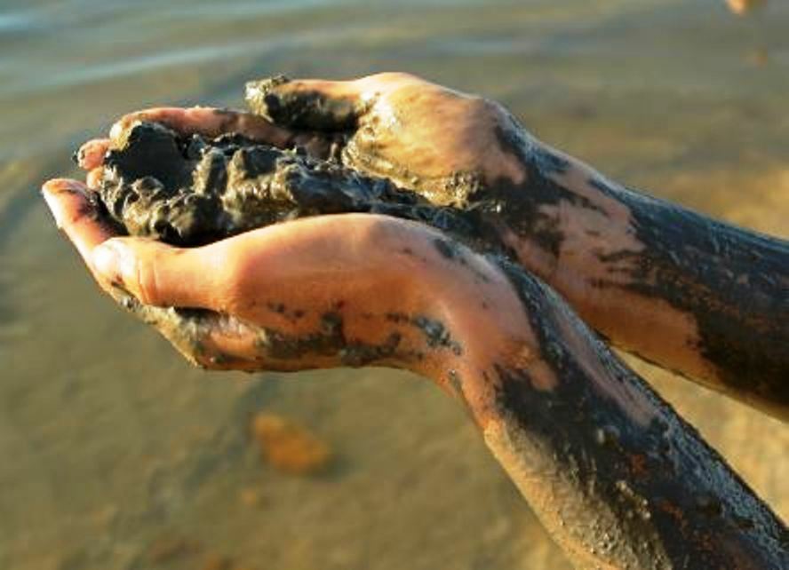 Absolutely Pure Exfoliating Dead Sea Facial Mud from Israel 7oz (pasty ...