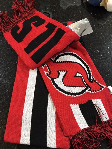 New Jersey Devils NHL 65 inch adult team logo Stripe scarf | eBay