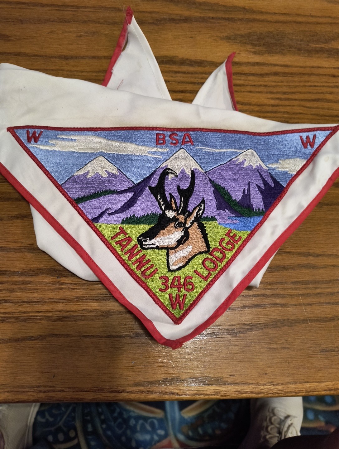 BSA 346W Tannu Jacket Patch | eBay