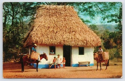 Vintage Mountain Village Hut Donkeys Locals Panama Postcard | eBay