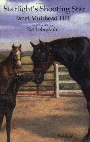 Starlights Shooting Star (Starlight Books, 4) - Paperback - VERY GOOD ...