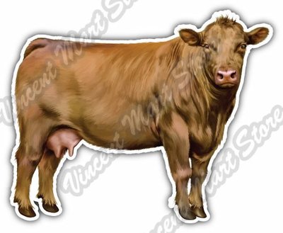 Brown Cow Milk Calf Farm Countryside Farming Car Bumper Vinyl Sticker ...