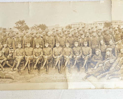 WW1 US Army Veterinary Hospital Unit 45 x 8 inch panoramic yard long ...