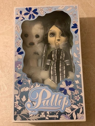 Pullip Chill Jun Planning Doll poupée Neuve NRFB | eBay
