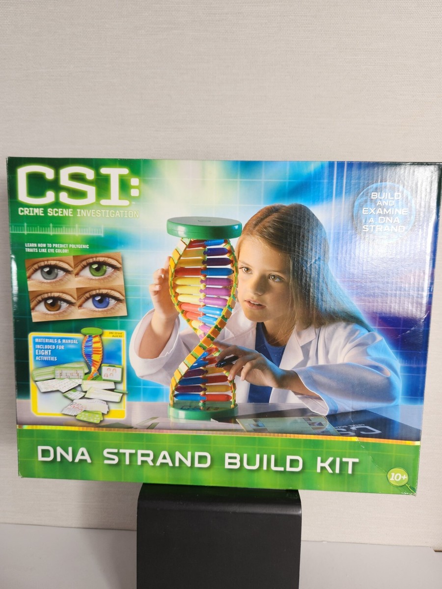Dna Strand School Project Expanded Genetic Alphabet Could Spell Out