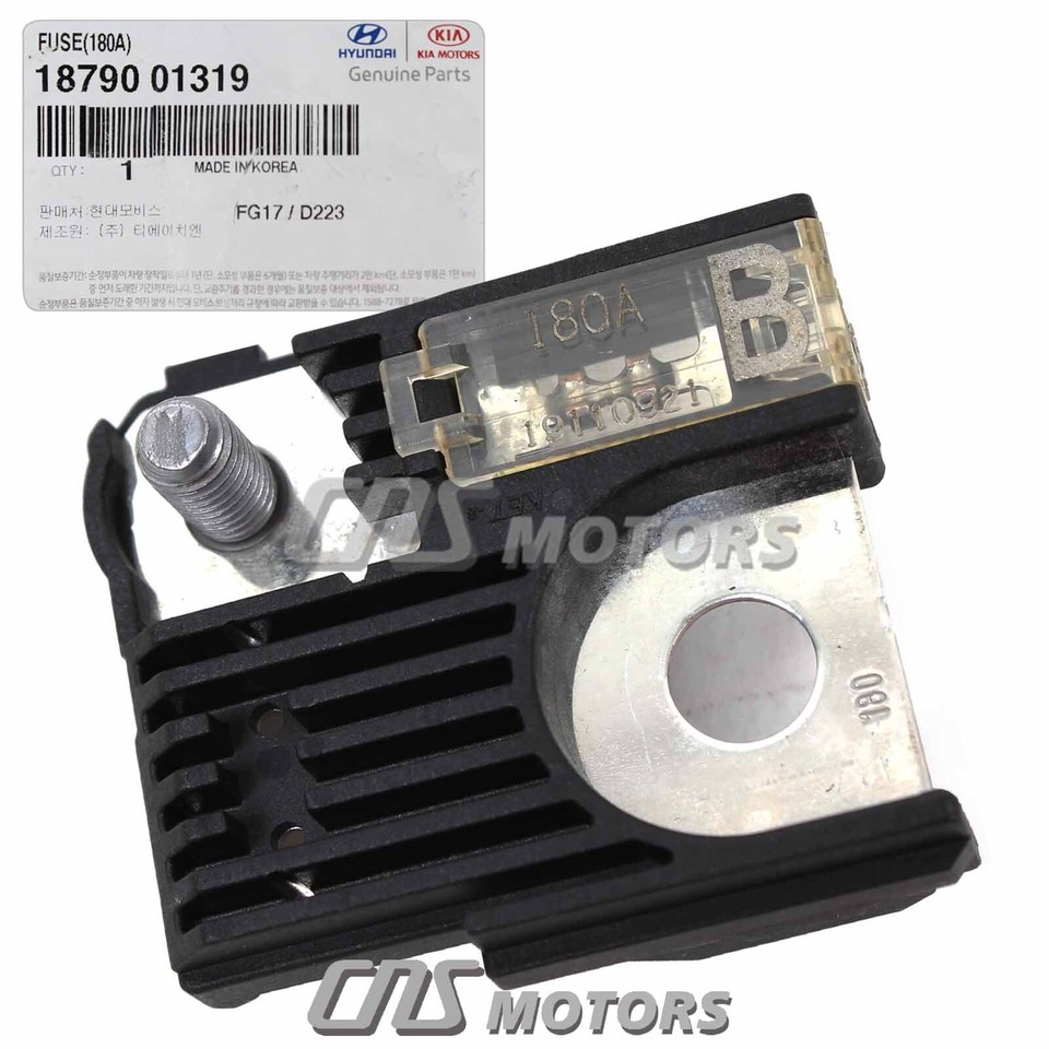 ⭐GENUINE⭐ AMP Fuse for 13-19 Santa Fe Tucson Cadenza Optima Sorento ...