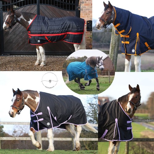 Turnout Rug Horse Rug | Lightweight | Medium Heavy Weight | 100g | 200g ...