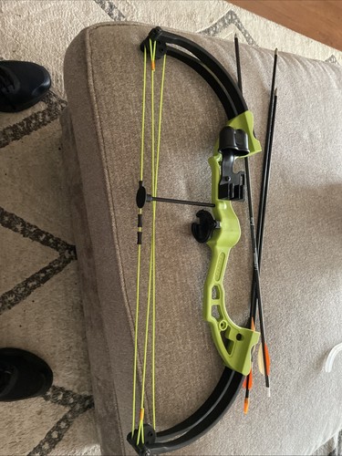 Bear Archery Youth Compound Bow With Arrows VGC | eBay
