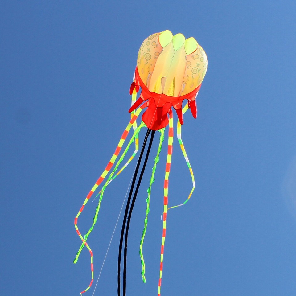 9m Jellyfish Kite Soft Inflatable Single Line Kite 30D Ripstop Nylon ...