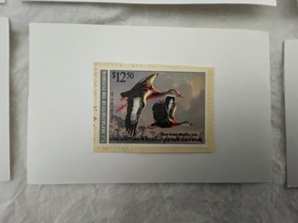 6-Federal Duck Stamps-Used-RW-50-52-53-55-57-58 | eBay