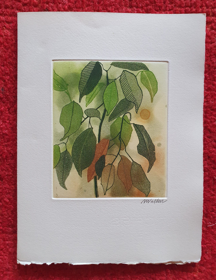 Original Engraving Anne Walker Signed Shaft Vegetation Wishes 1984 Rack ...