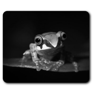 Rectangle Mouse Mat BW - Madagascan Tree Frog Madagascar #36971 | eBay