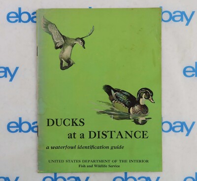 Vintage Ducks at a Distance ID Guide US Department of the Interior July ...