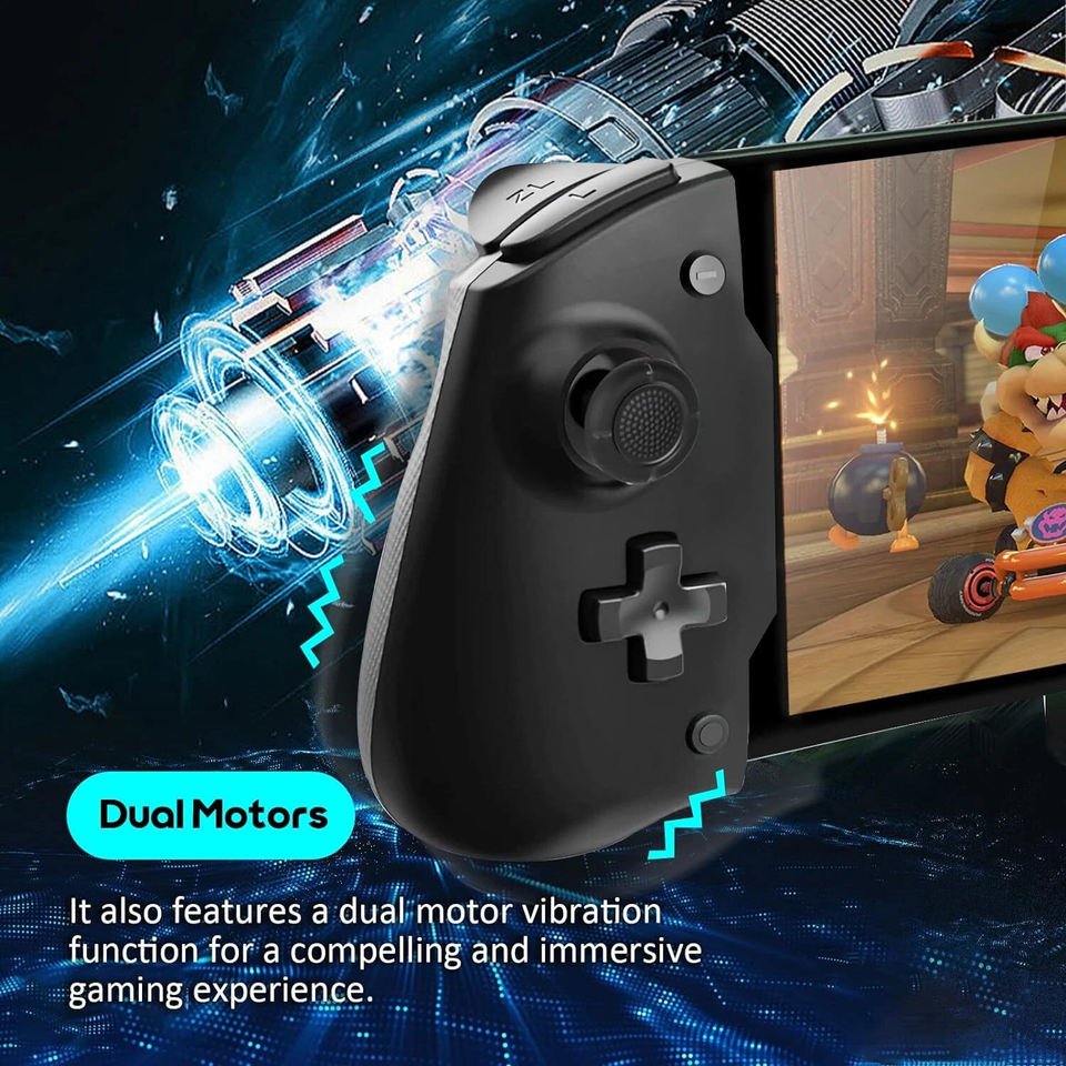 Handle Controller For Nintendo Switch OLED/LITE Mapping Vibration Joy ...