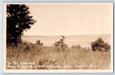 Lake Jenkins Minnesota MN Postcard RPPC Photo Piney Ridge Resort On ...