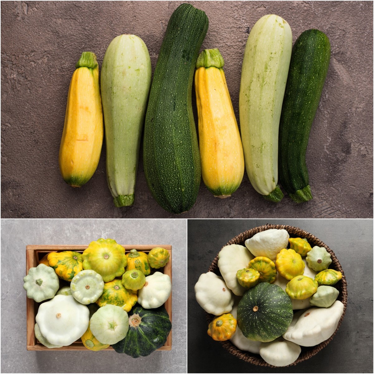 Difference Between Squash And Zucchini