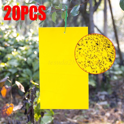 Up 20pcs Yellow Sticky paper Insect Trap Catcher Killer Fly Aphids Wasp ...