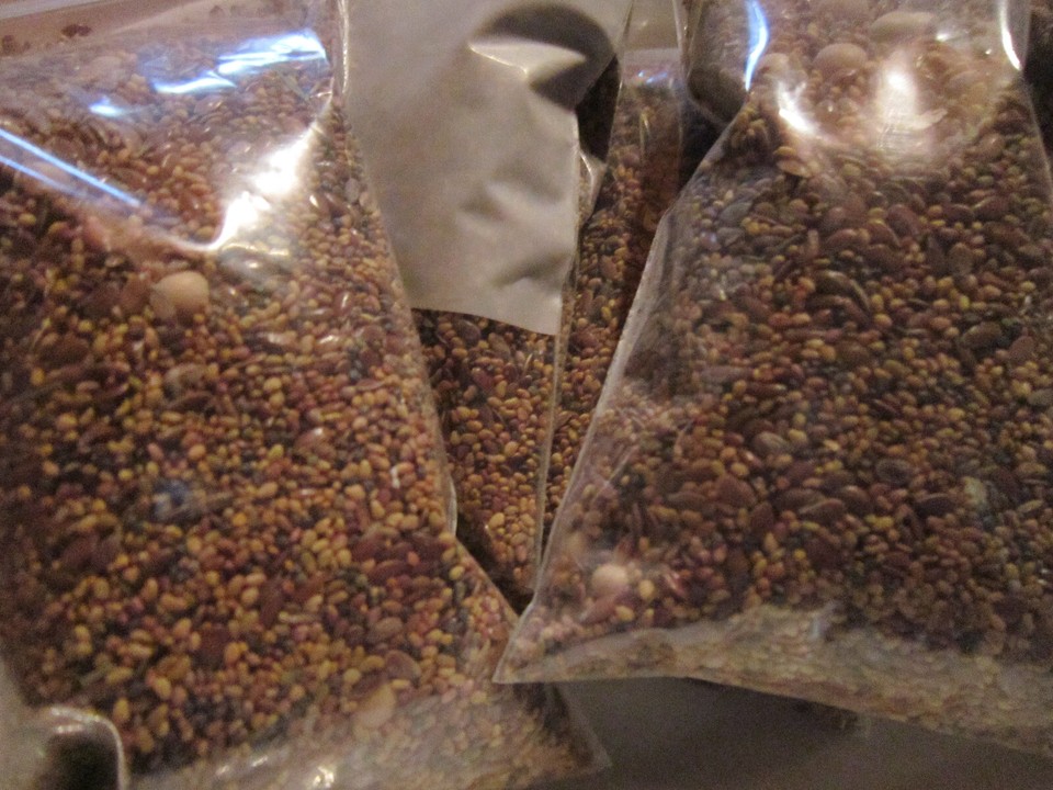 Premium Chicken Poultry Forage Seed Mix - All-Natural- Midwest/ Mid ...